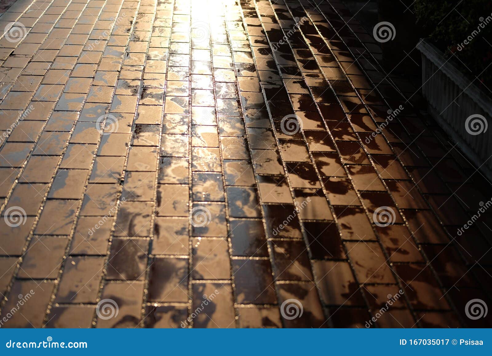 Morning Sunlight on Brick Path Walkway Footpath Pathway Stock Image ...