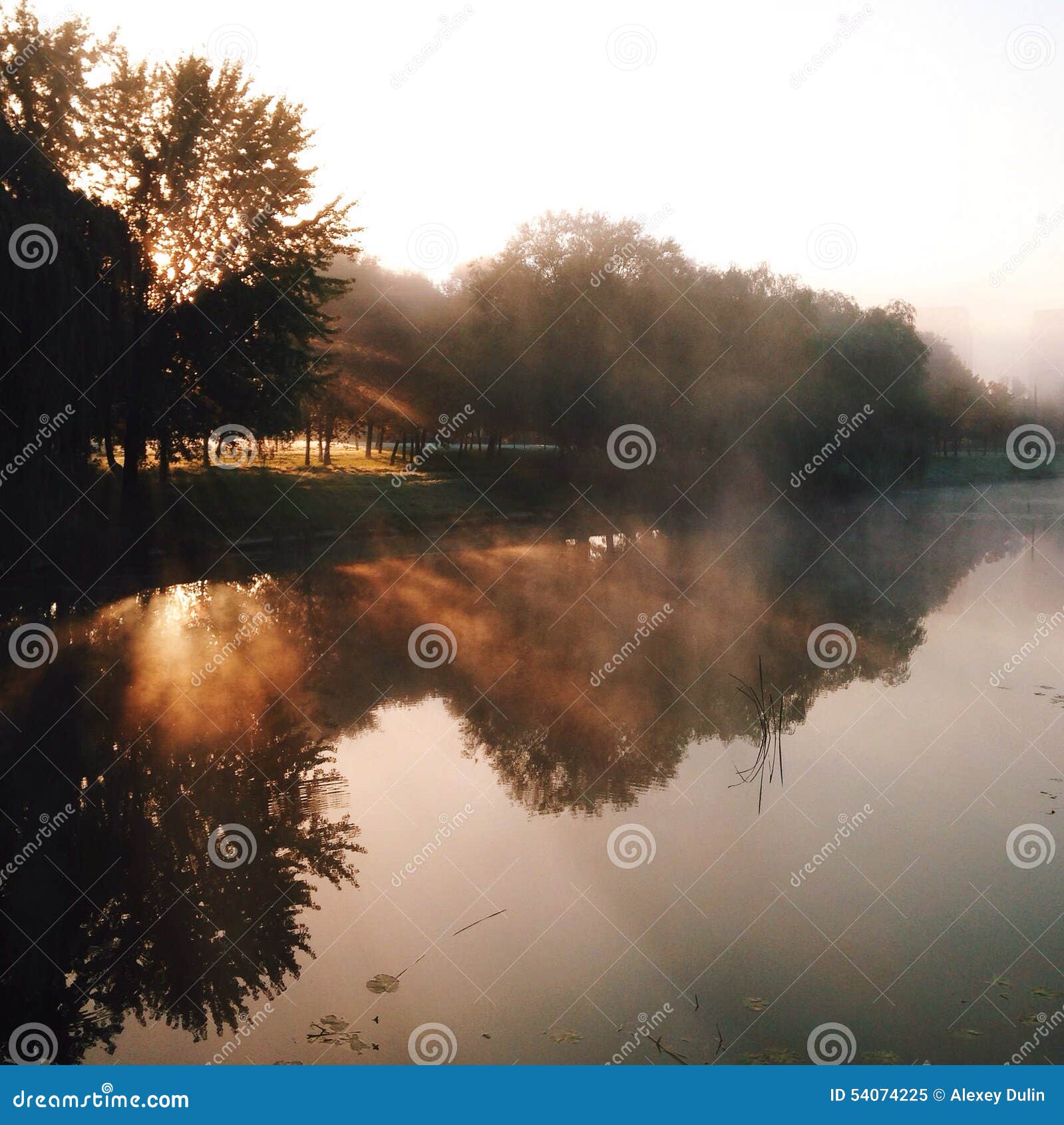 Morning lights stock image. Image of morning, capture - 54074225