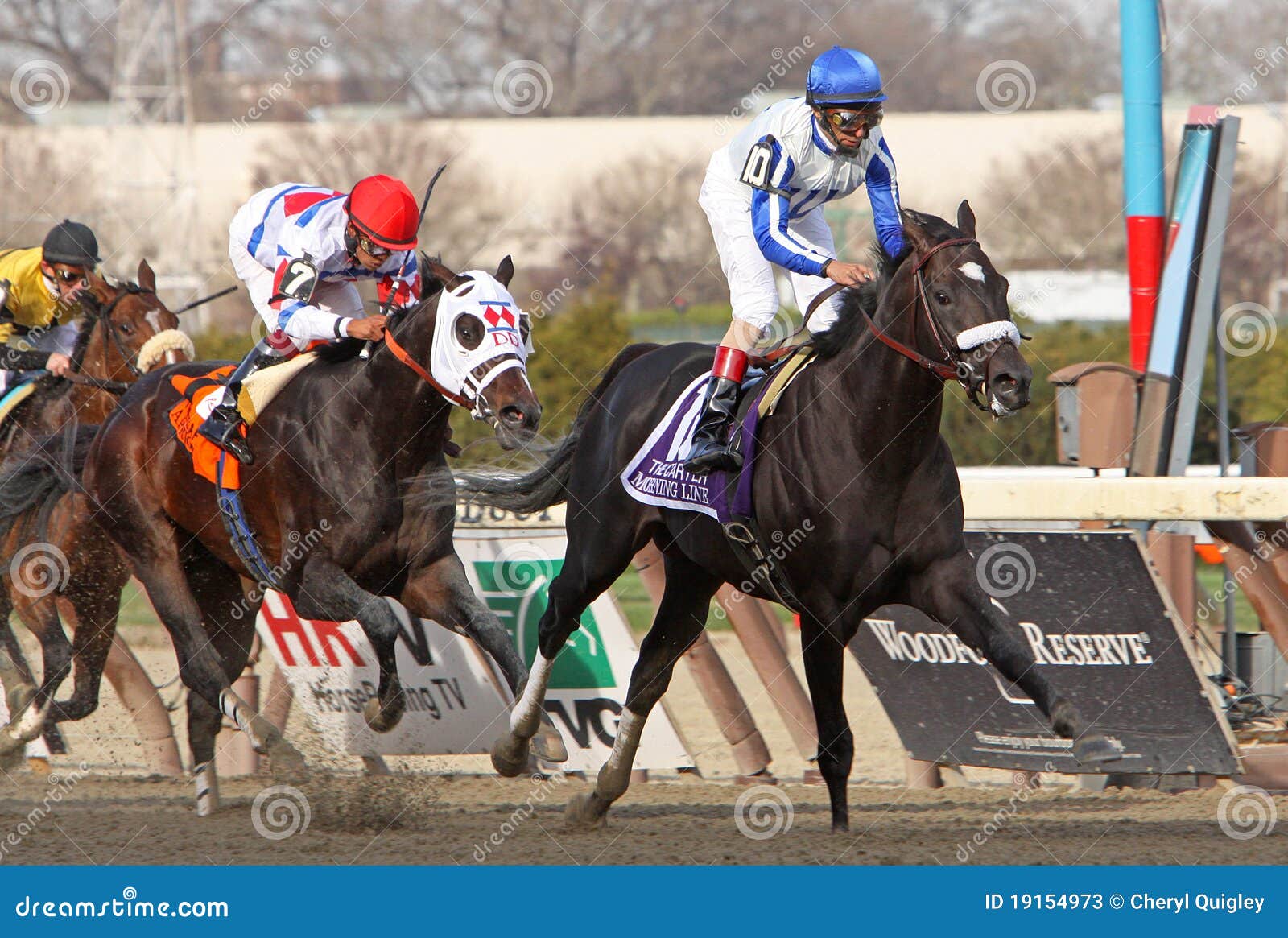 Morning Line Wins the Carter Handicap Editorial Stock Photo - Image of ...