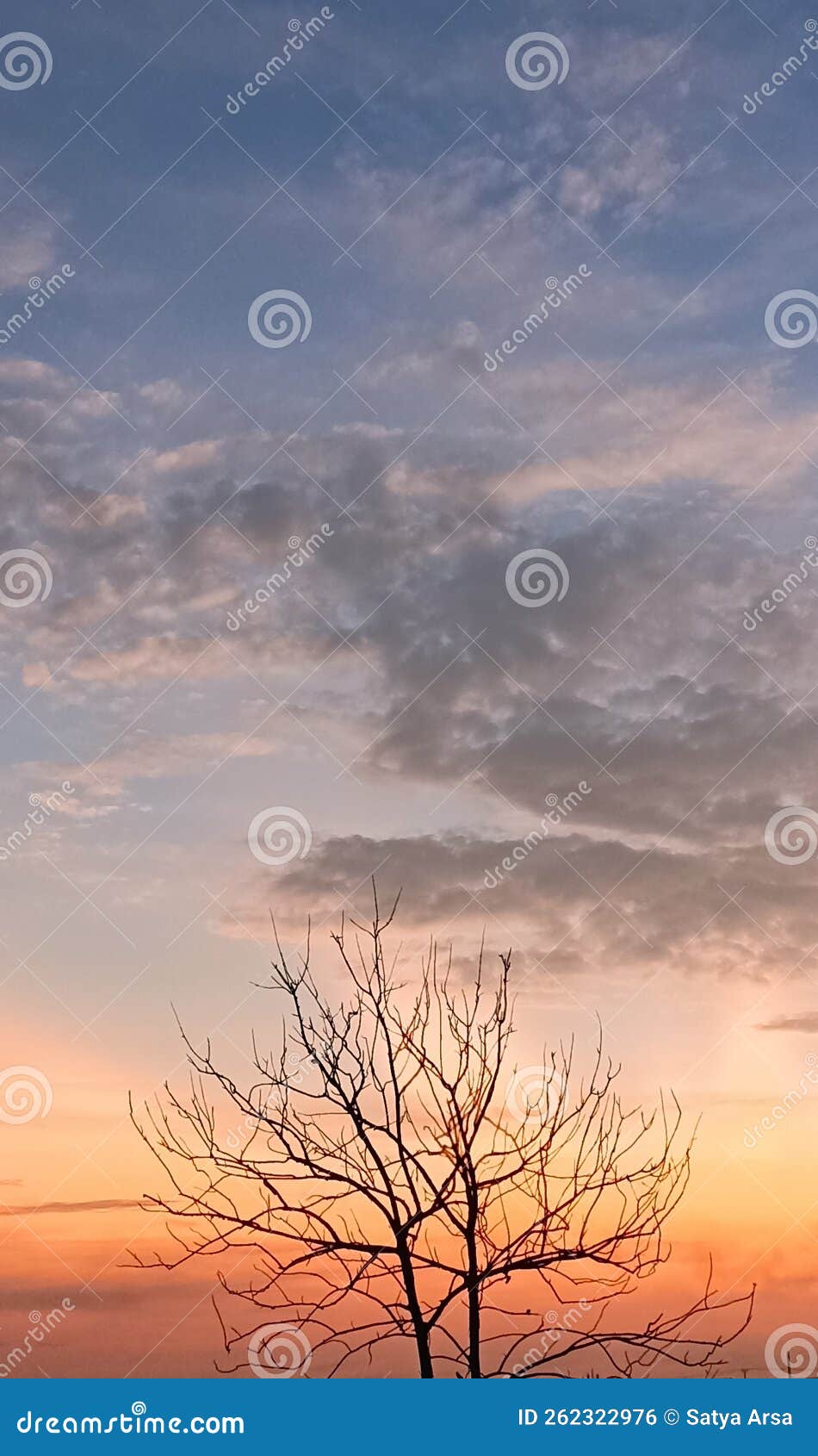 Morning lonely light stock photo. Image of nature, light - 262322976