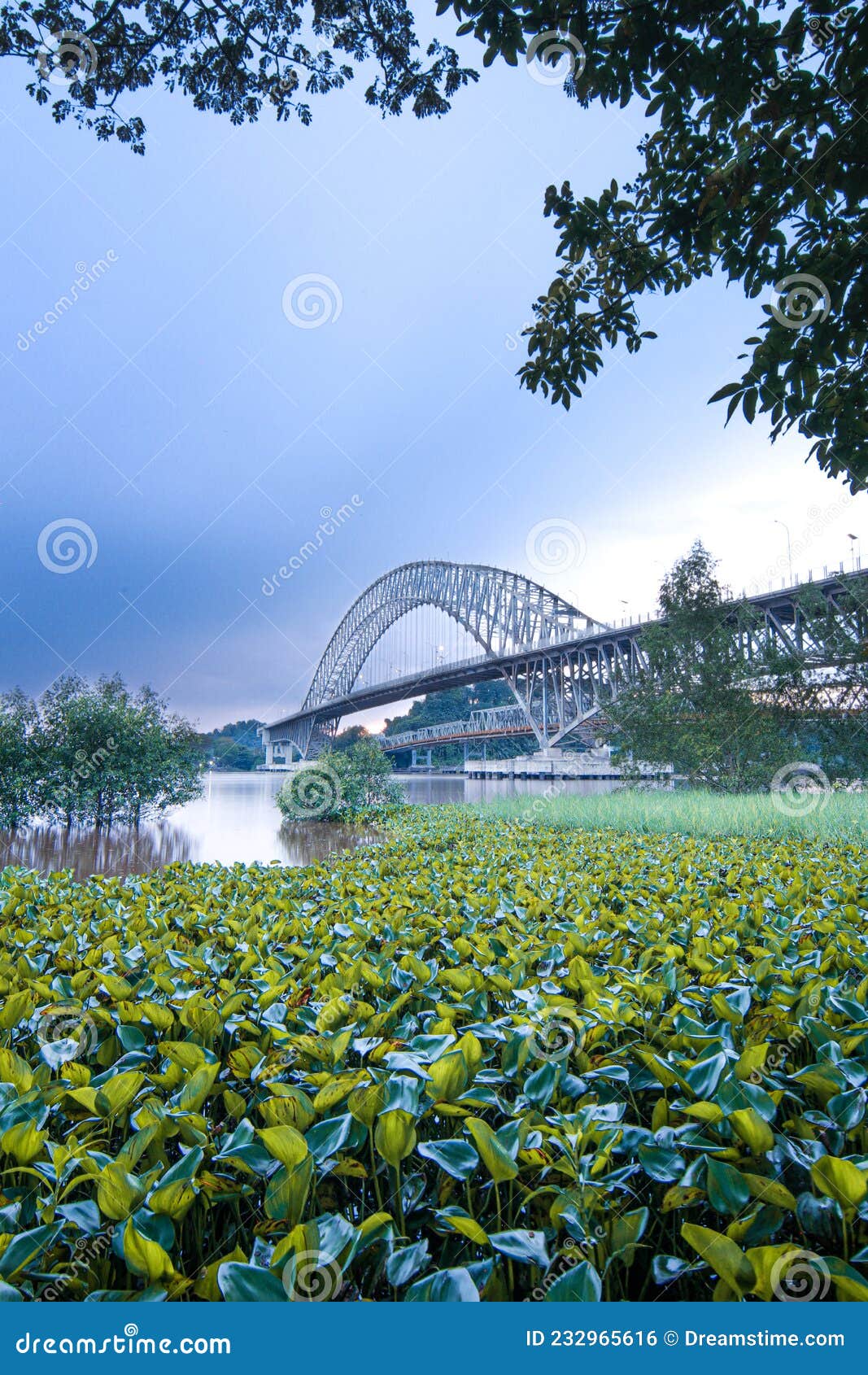 Morning on the Mahakam Bridge that Stands on the Mahakam River Stock ...