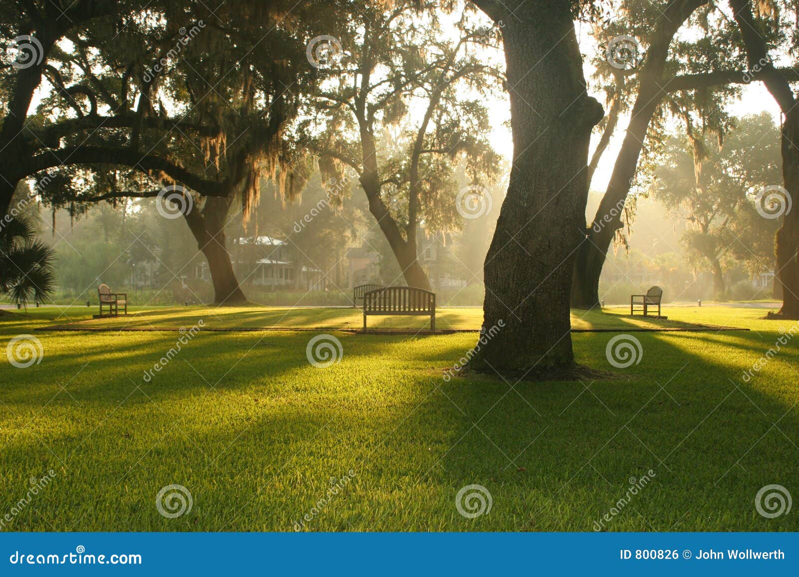 Morning meeting place stock photo. Image of southern, sunbeam - 800826