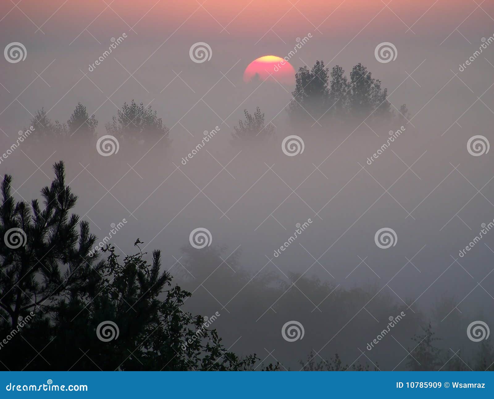 Morning mist stock image. Image of landscape, grey, morning - 10785909
