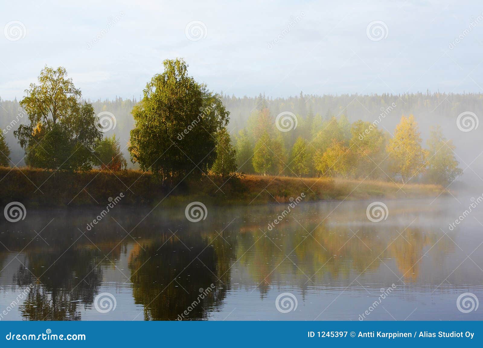 Morning mist stock image. Image of sunrise, park, finland - 1245397