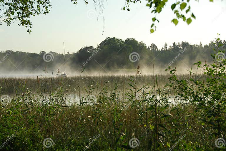 Morning mist stock image. Image of beautiful, water, hiking - 4096993