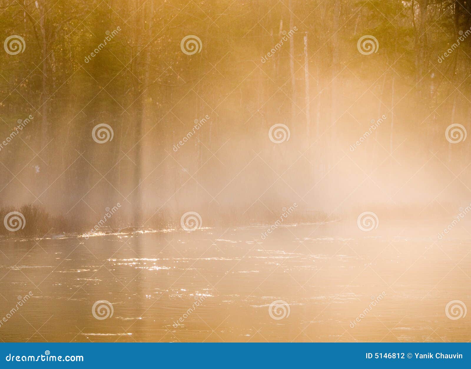 Morning Mist stock photo. Image of warmth, nature, forest - 5146812