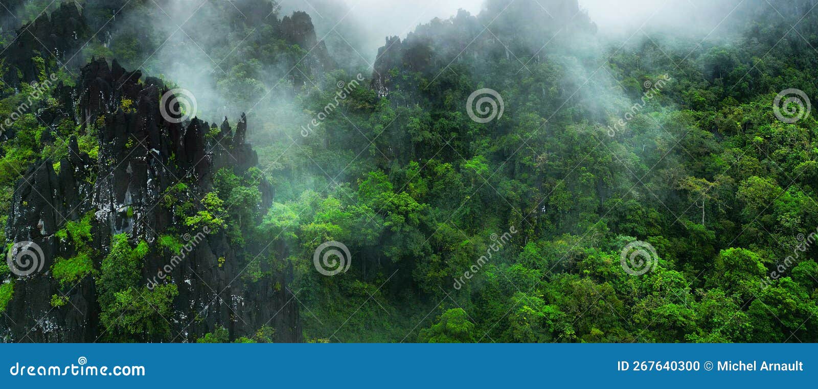 Morning Mist on the Canopy in the Mountains of the Rainforest Stock ...