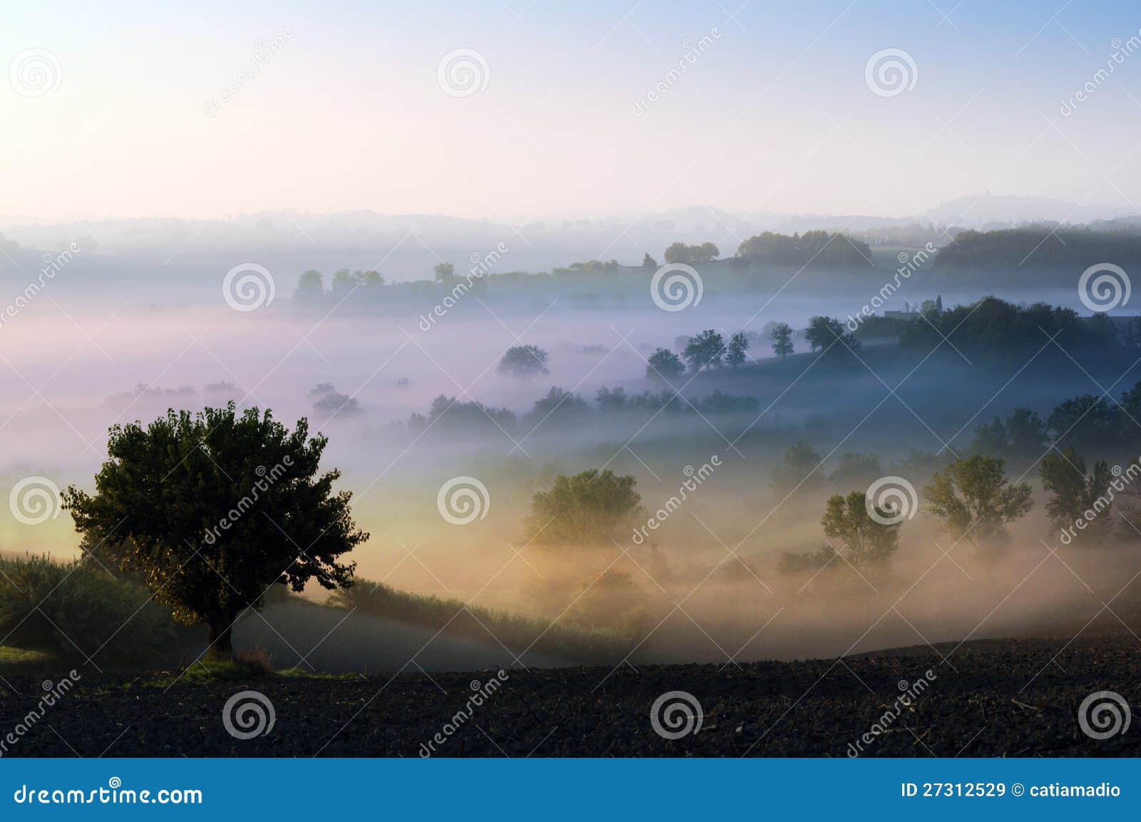 Morning mist in country stock image. Image of scenery - 27312529