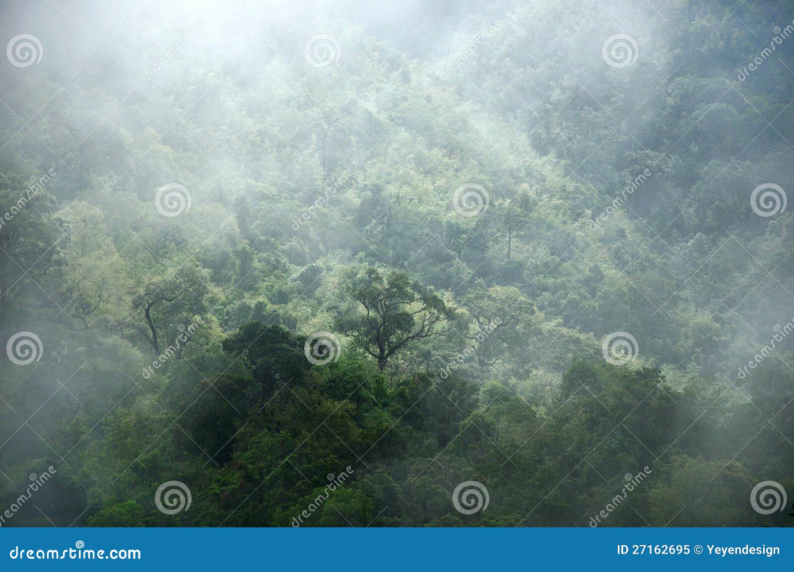 Morning Mist Cover Tree and Mountain Stock Image - Image of mistery ...