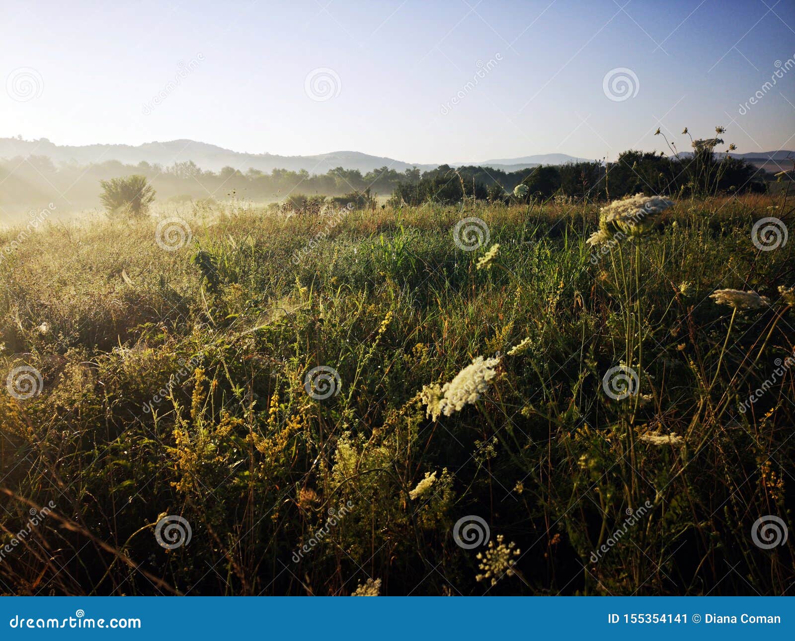 11,084 Mist Fields Photos - Free & Royalty-Free Stock Photos from ...