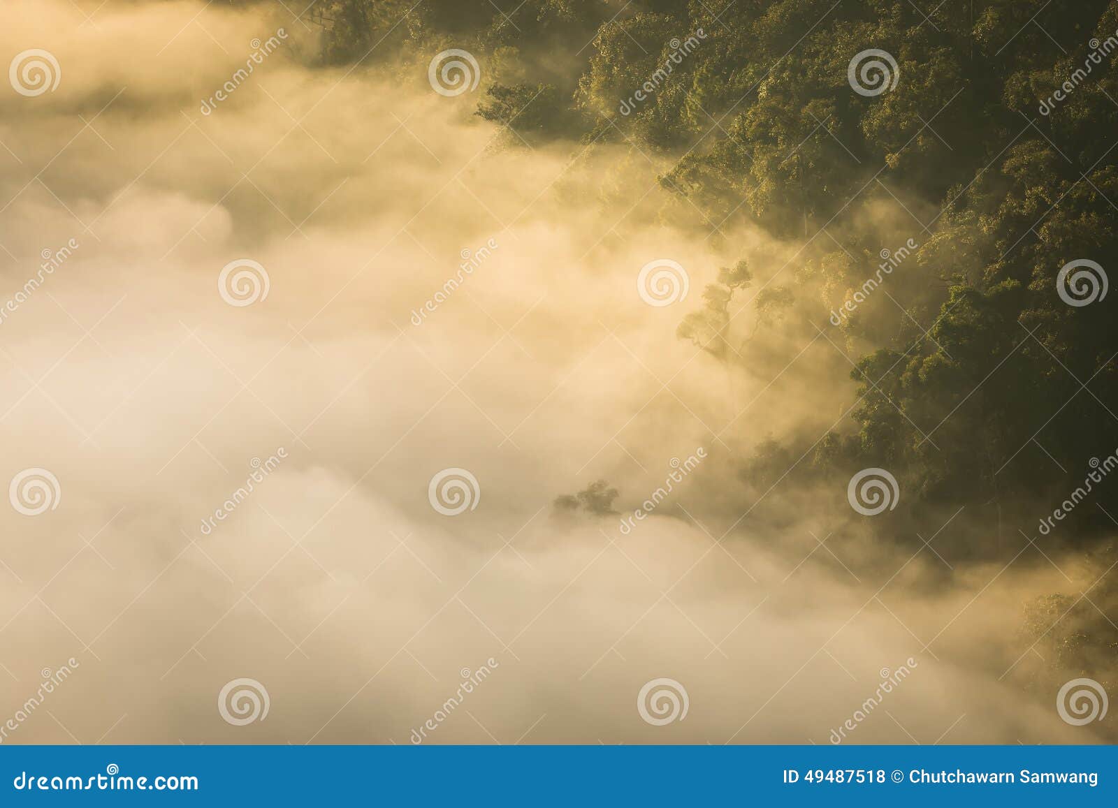 Morning mist and mountain stock photo. Image of nature - 49487518