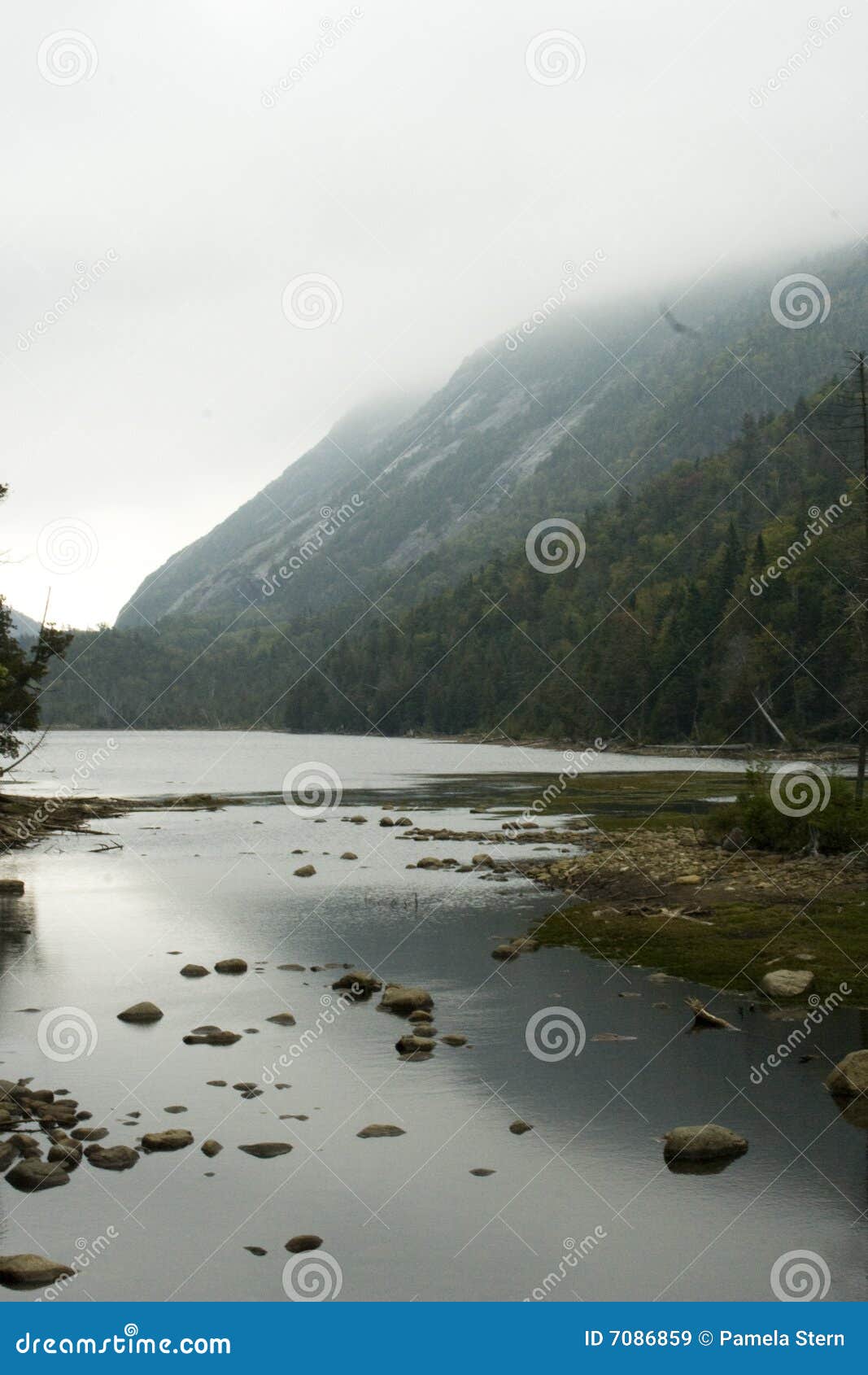 Morning Mist on Mountain Side Stock Image - Image of morning, northern ...