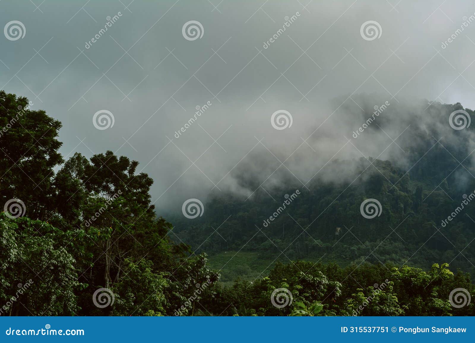 Morning Mist at Mountain and Tropical Rainforest ,Thailand Stock Image ...