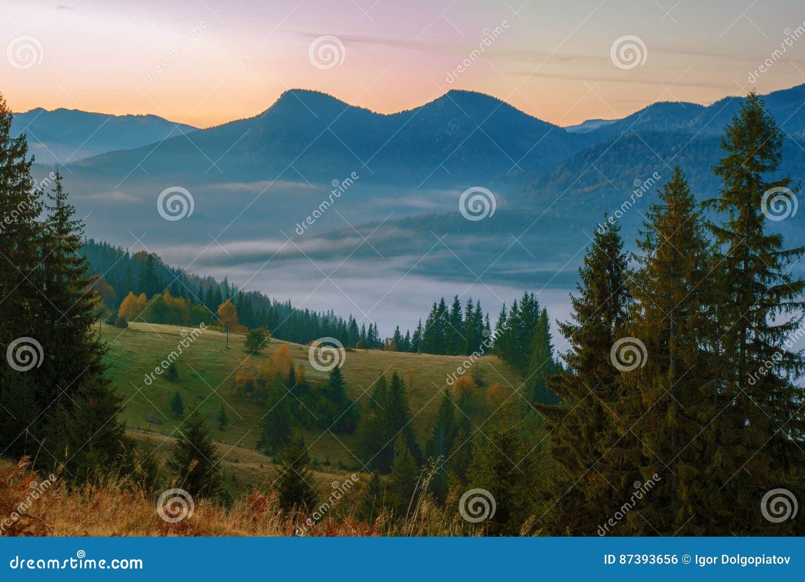 Morning mist in mountain. stock photo. Image of carpathians - 87393656