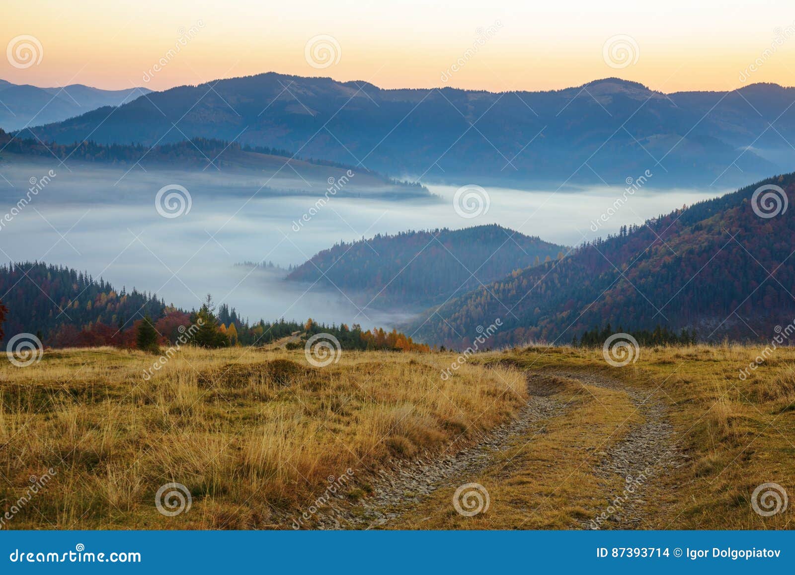 Morning mist in mountain. stock photo. Image of brown - 87393714