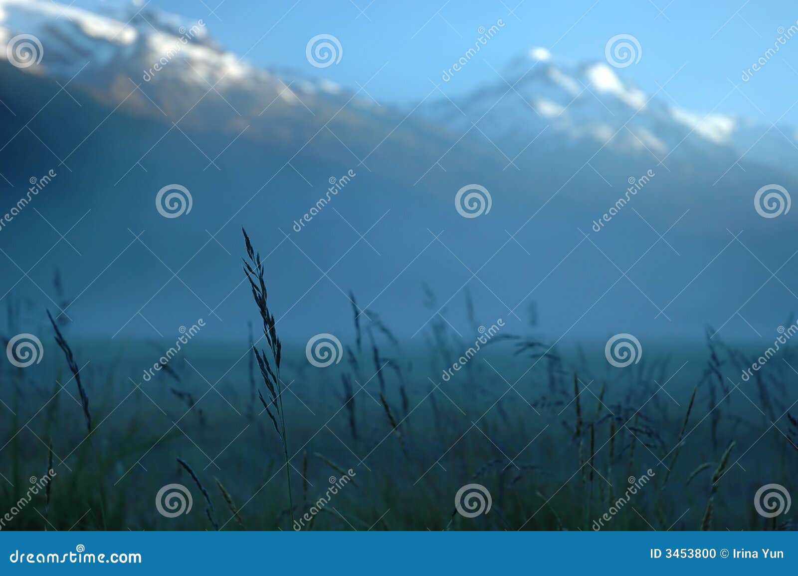 Morning mist in mountains. stock photo. Image of idyllic - 3453800