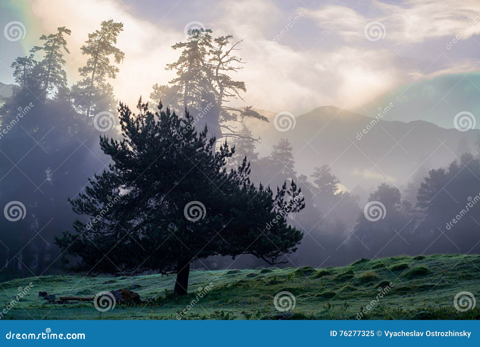 Morning Mist in the Mountains Stock Image - Image of adorable, morning ...