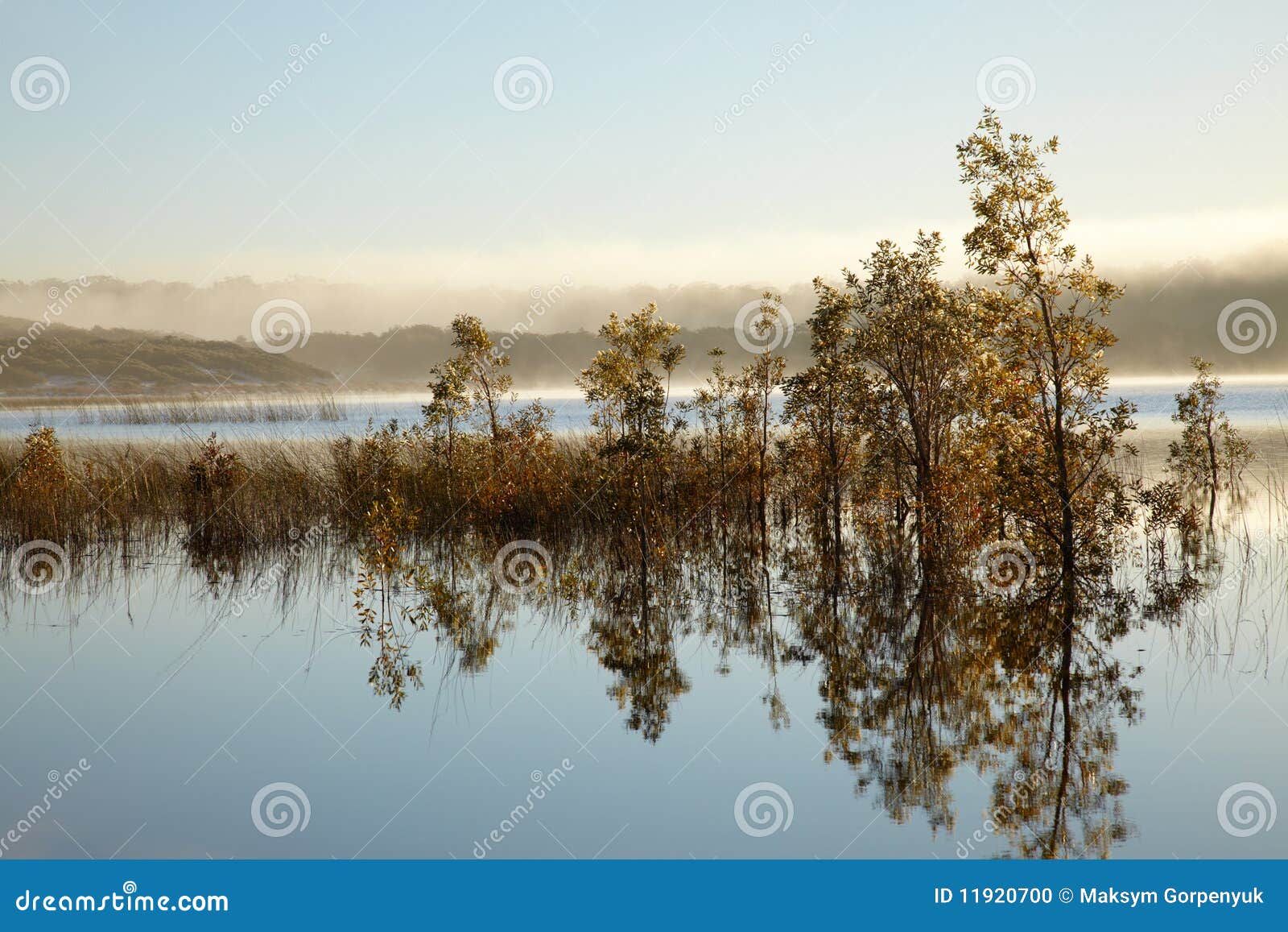 Morning mist over lake stock photo. Image of wild, outdoor - 11920700