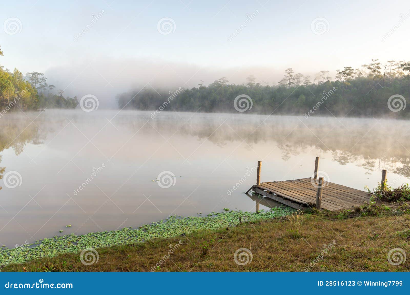 Morning mist over lake stock image. Image of space, scenic - 28516123