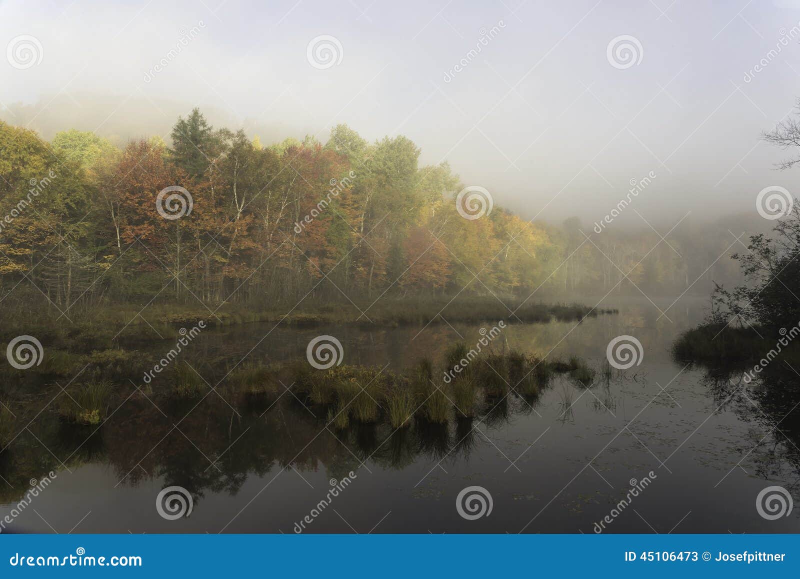 Morning mist over a lake stock image. Image of plants - 45106473