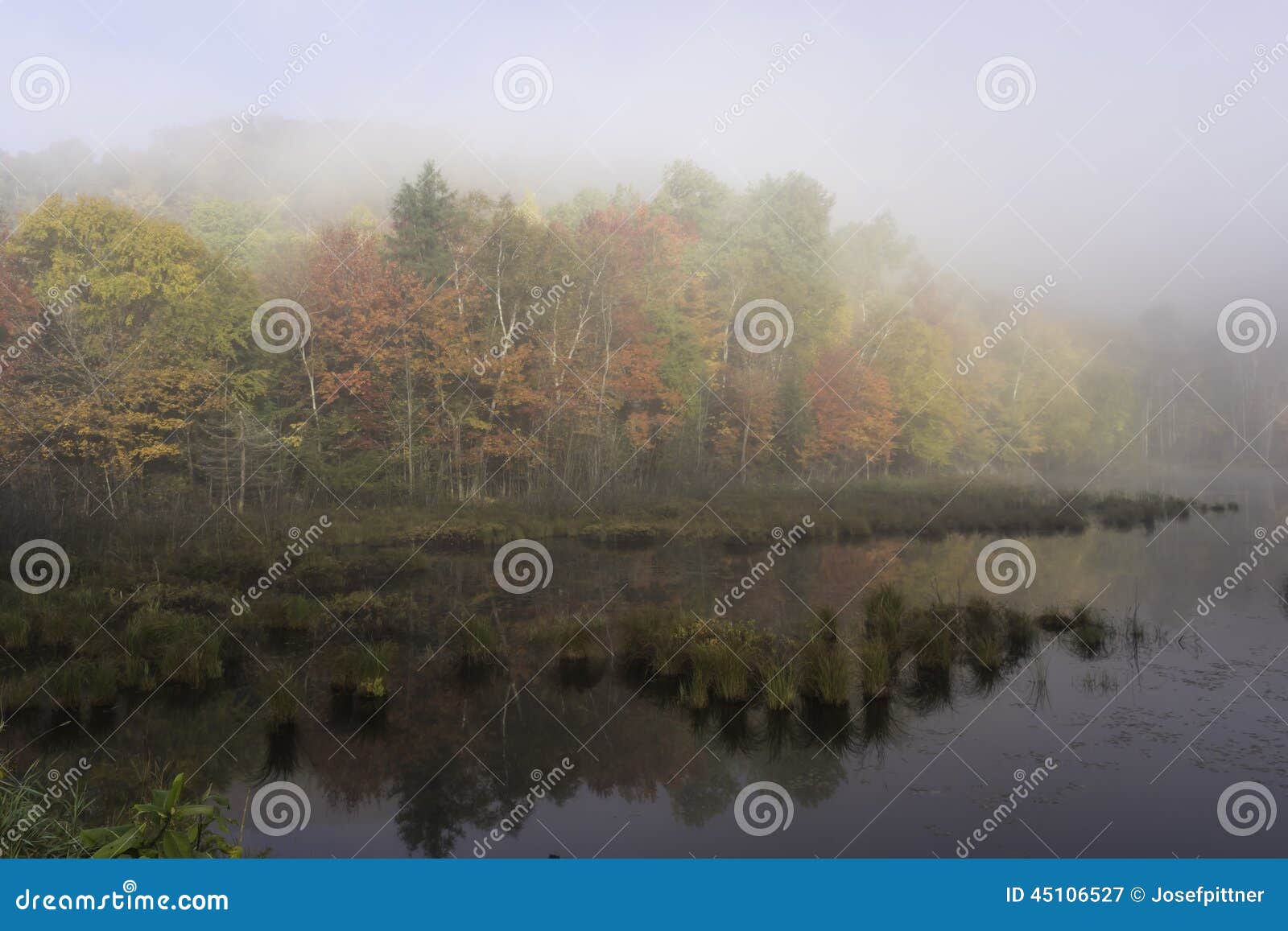 Morning mist over a lake stock image. Image of mist, natural - 45106527