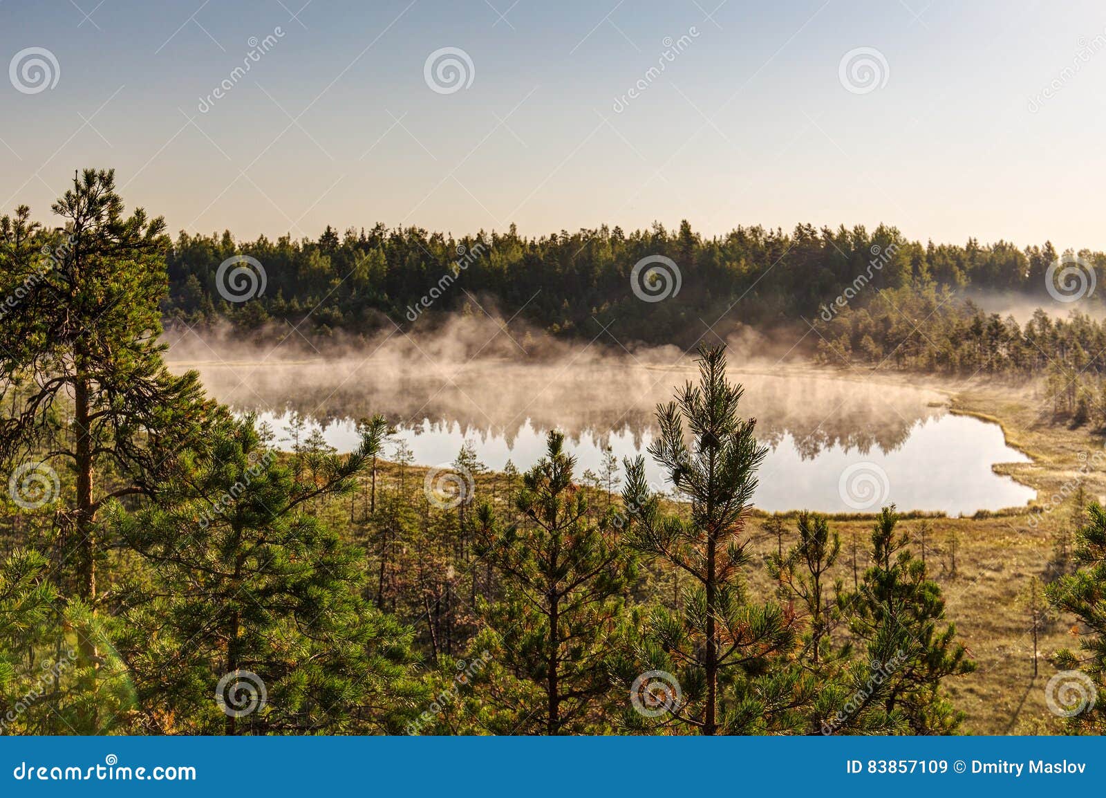 Morning mist over lake stock image. Image of woods, blue - 83857109