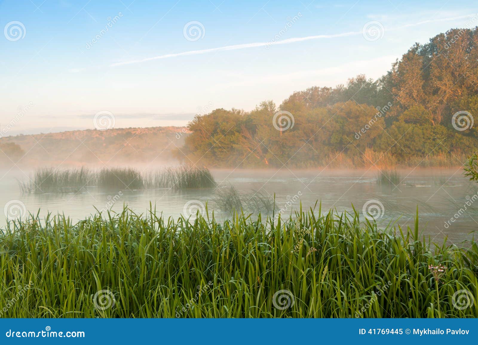 Morning Mist Over the River Stock Image - Image of nature, wood: 41769445