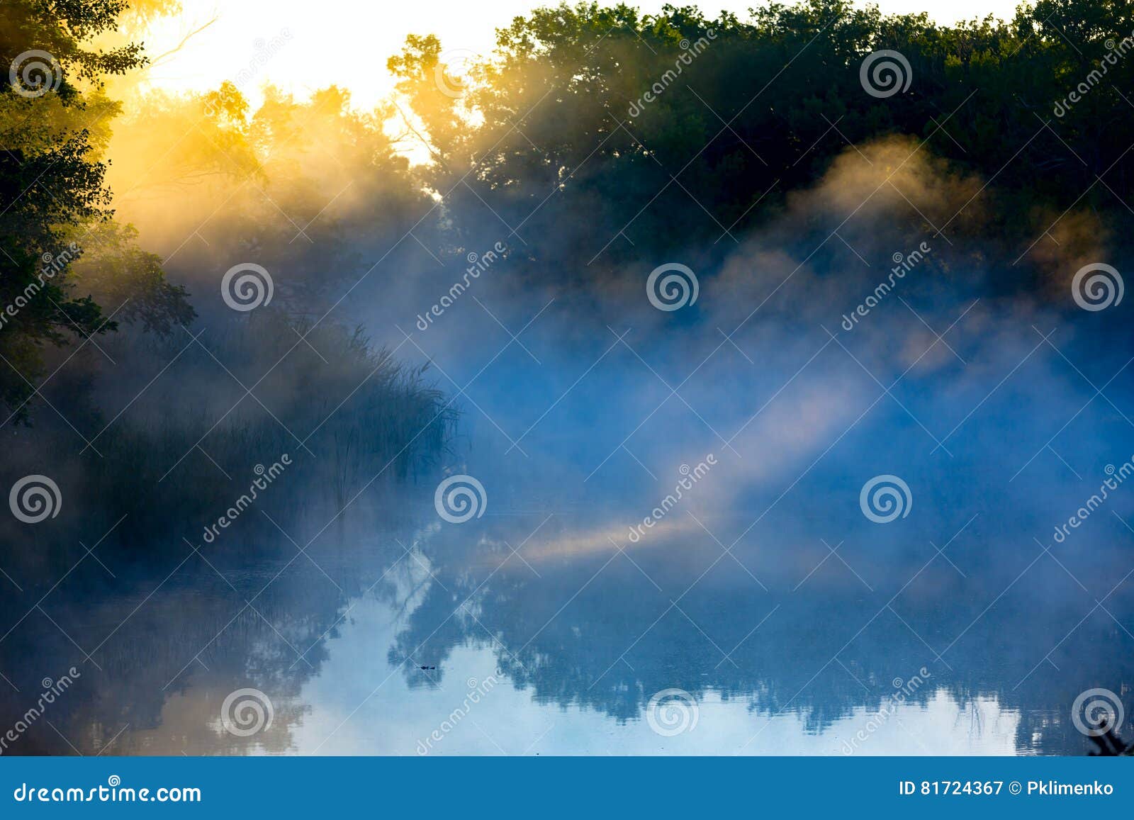 Morning mist over river stock image. Image of reeds, background - 81724367