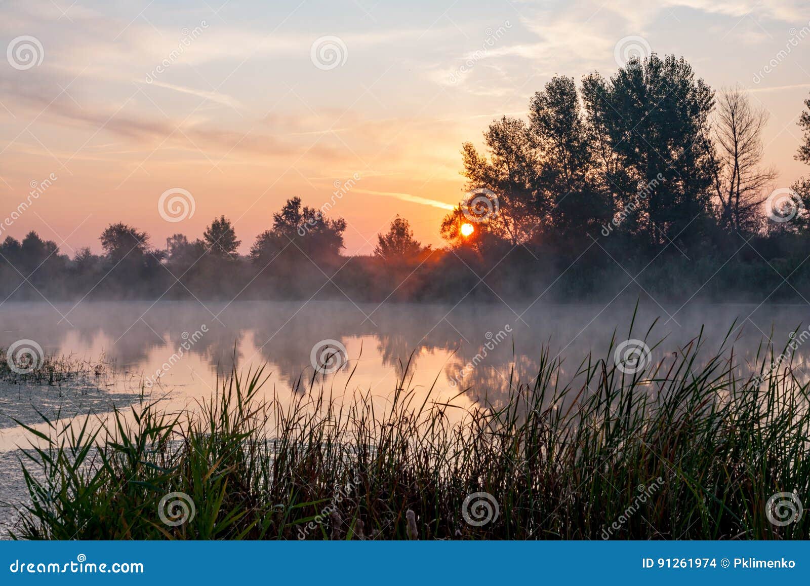 Morning mist over river stock photo. Image of light, forest - 91261974