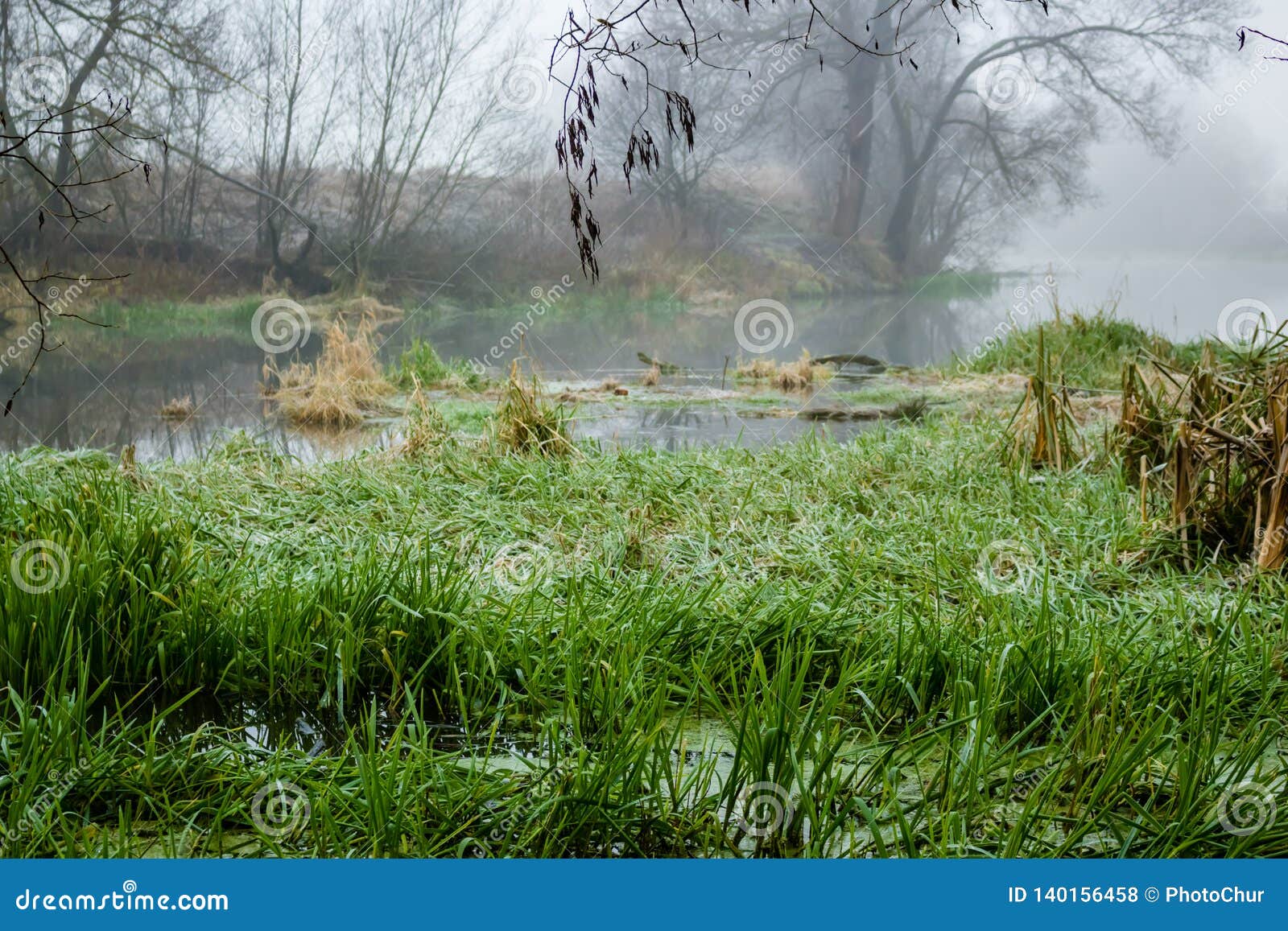 Morning mist on the river stock photo. Image of foggy - 140156458