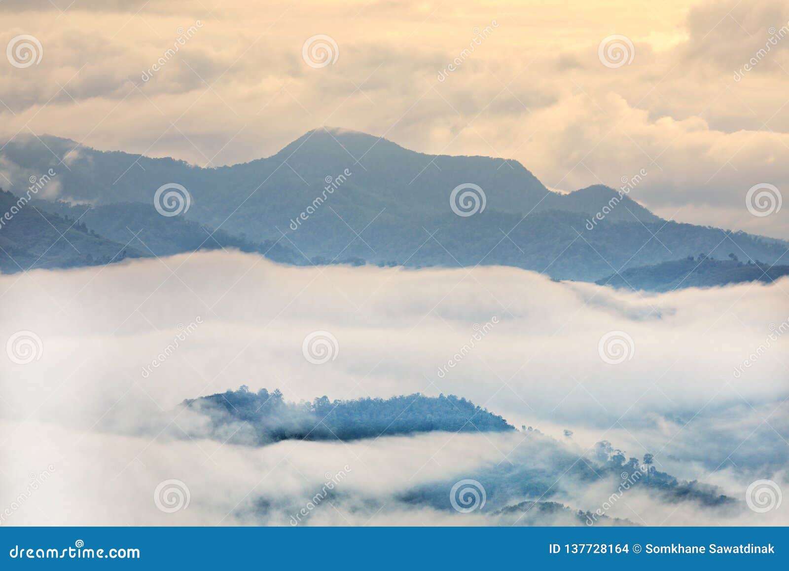 Morning Mist on Top of Mountain at Deep Forest. Stock Photo - Image of ...