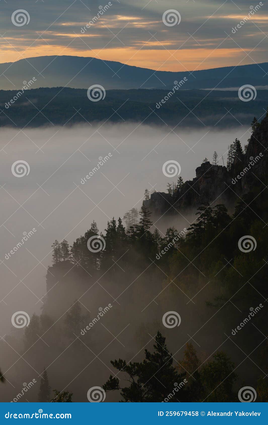 Morning Mist on Top of Old Mountains Overgrown with Coniferous Trees ...