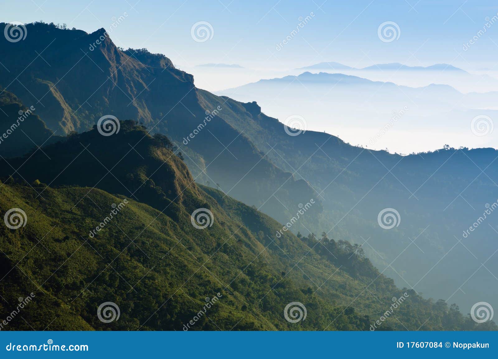 Morning Mist at Tropical Mountain Range Stock Photo - Image of ...