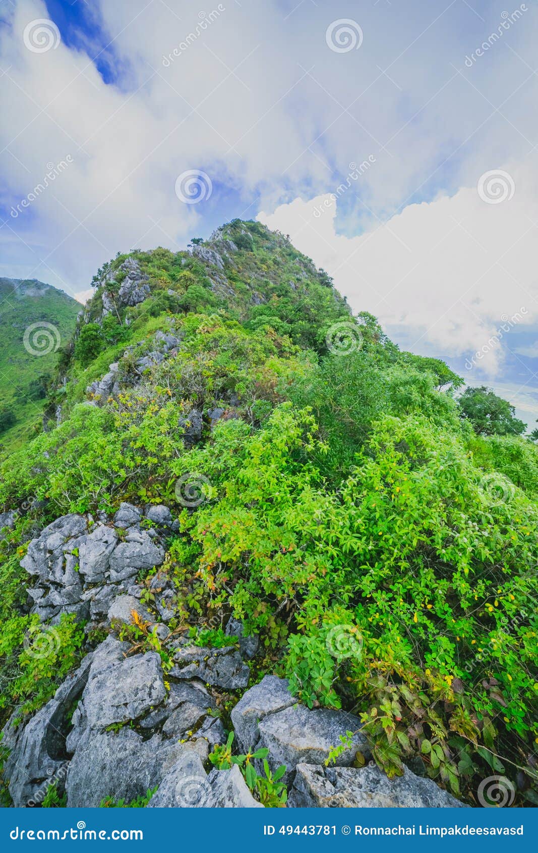 Morning Mist at Tropical Rainforest Stock Image - Image of mountain ...