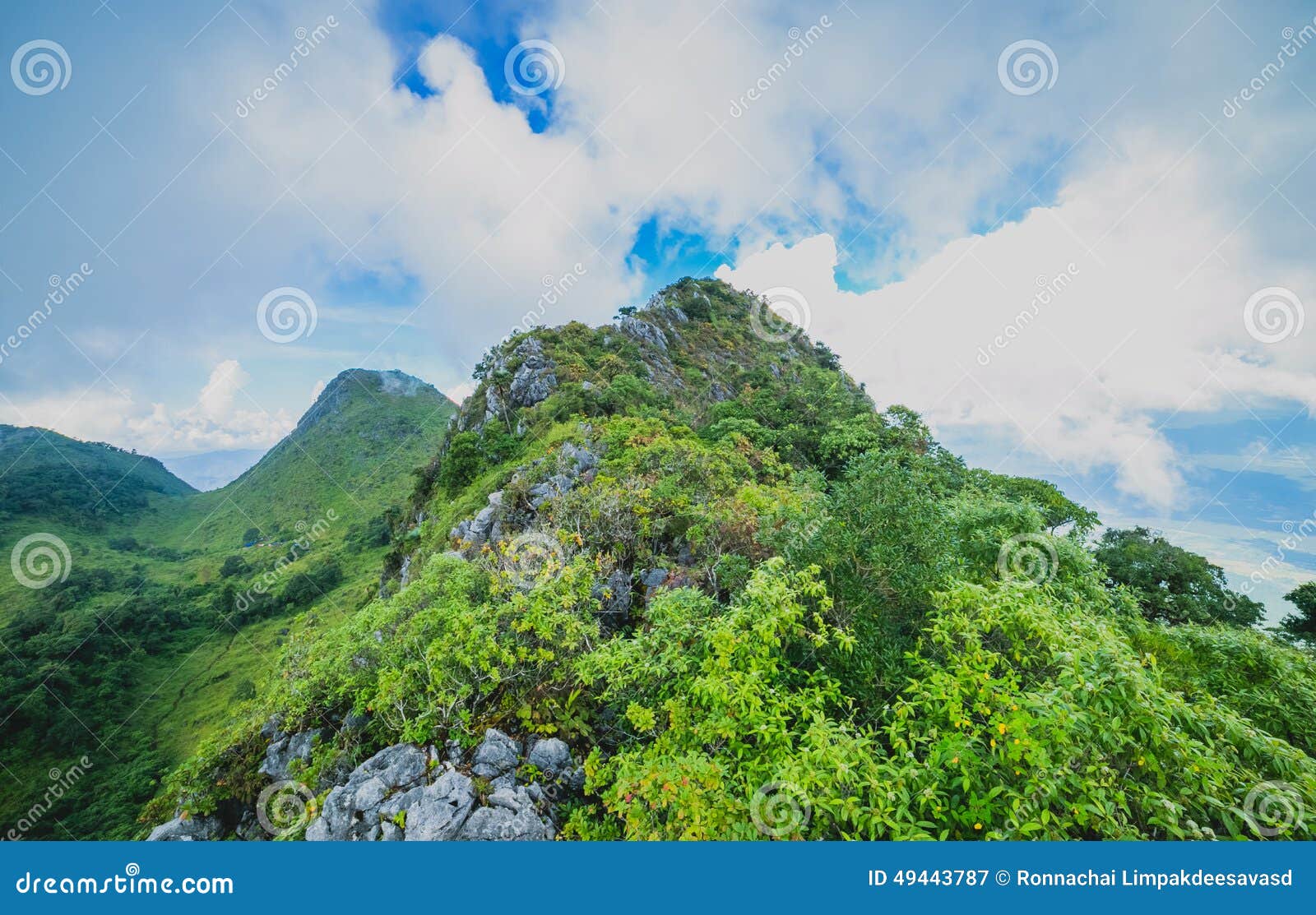 Morning Mist at Tropical Rainforest Stock Image - Image of climate ...