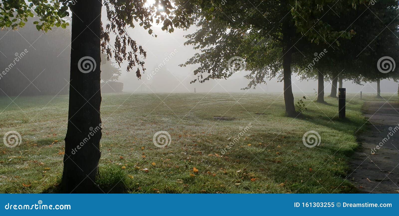 Morning mist during walk stock image. Image of trees - 161303255