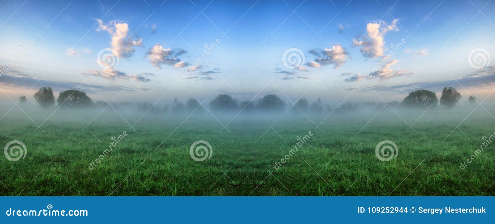 Morning. a Misty Dawn in a Picturesque Meadow Stock Photo - Image of ...