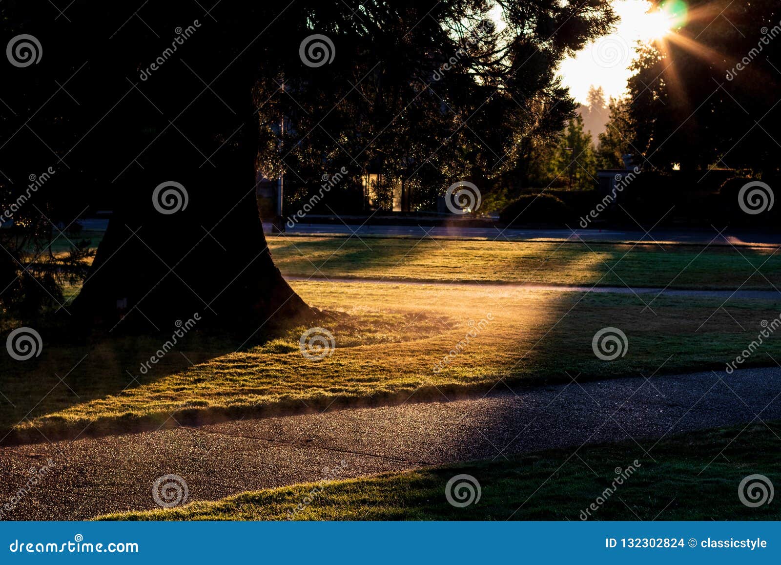 Morning Misty Haze Off a Lawn with a Foot Path Stock Photo - Image of ...