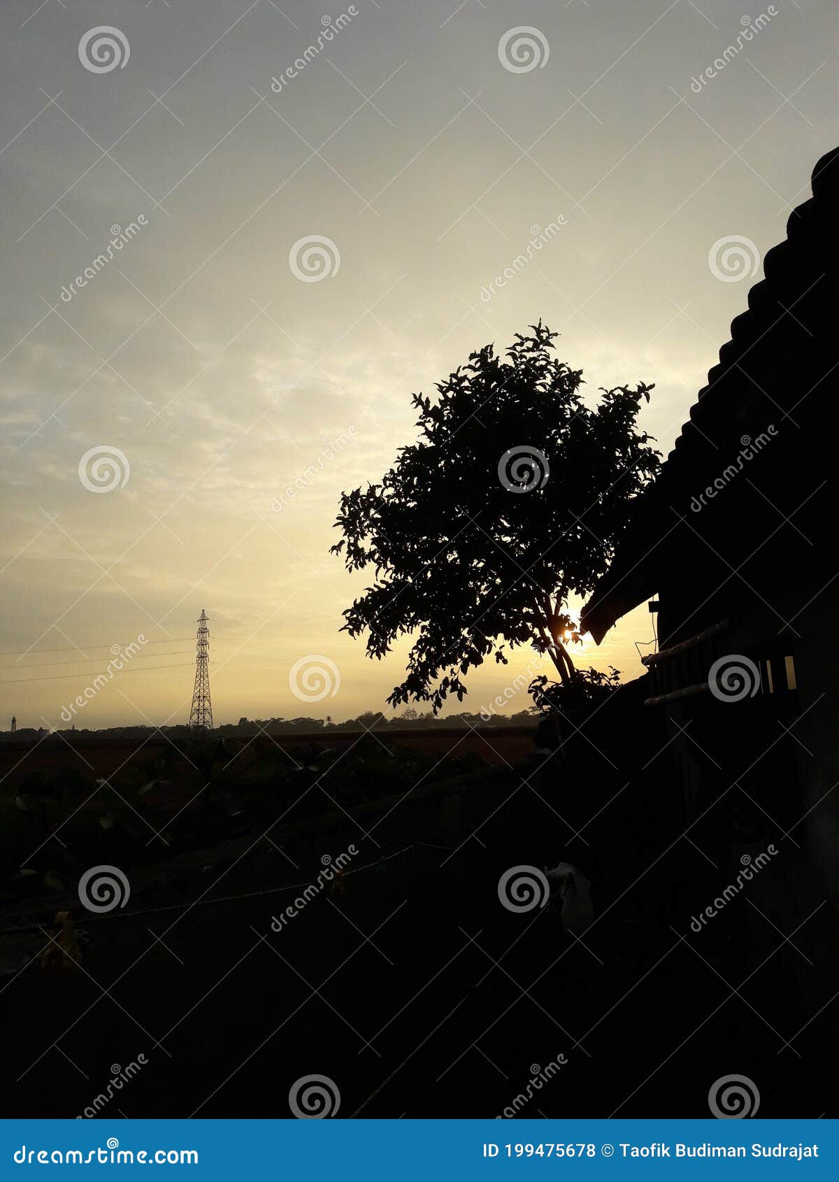Morning Mood with Silhouette Effect and the Rising Sun Stock Photo ...