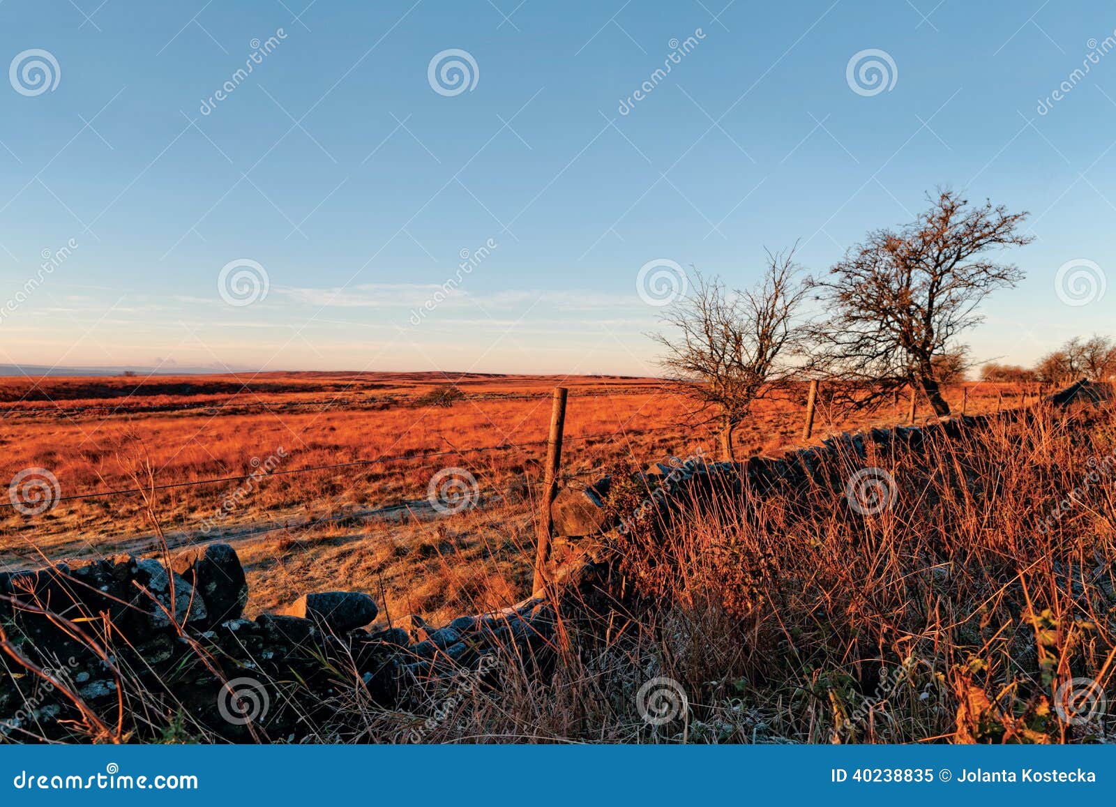 Morning at the moors stock image. Image of cold, fence - 40238835