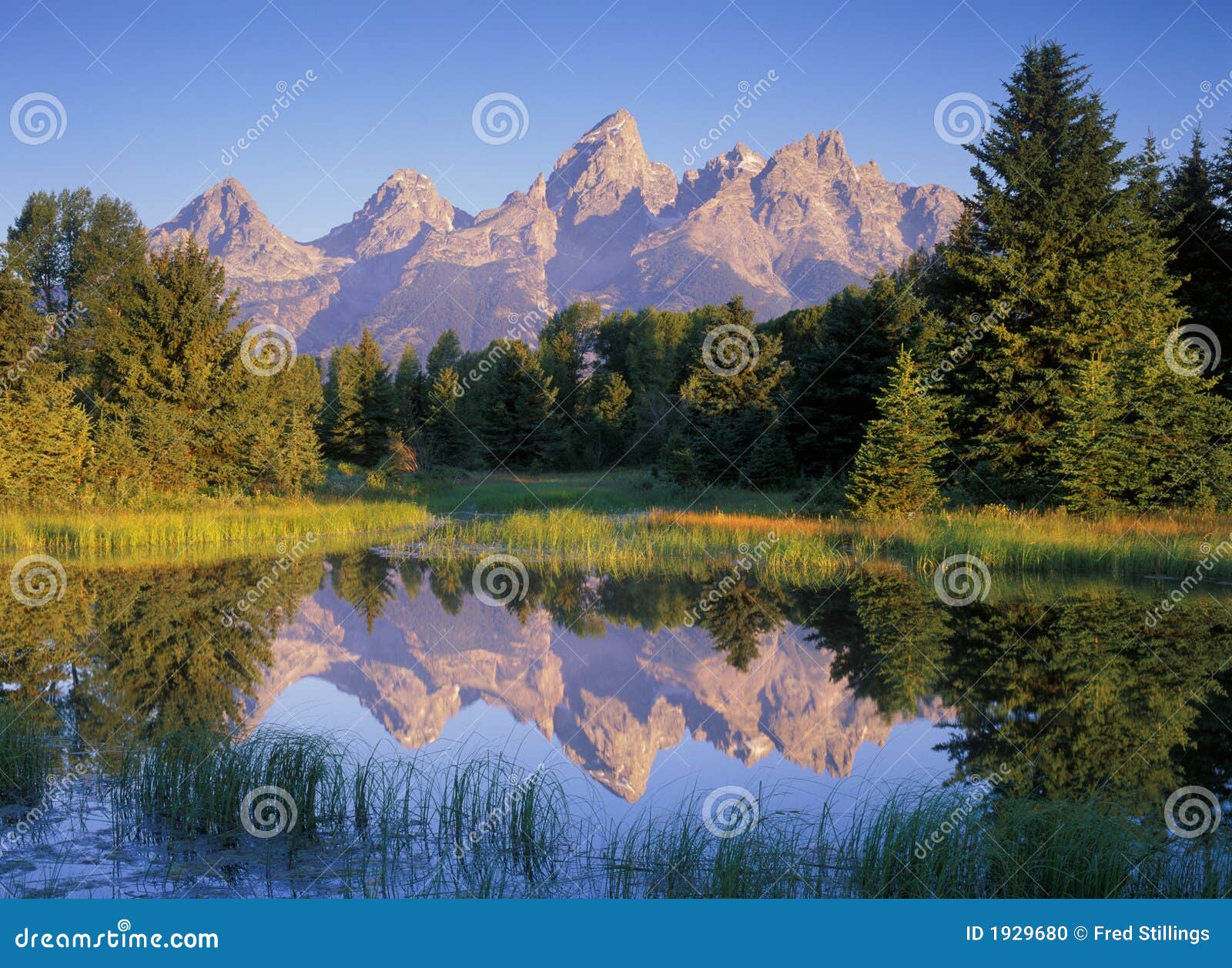 Morning Mountain Reflections Stock Photo - Image of mountain, beautiful ...