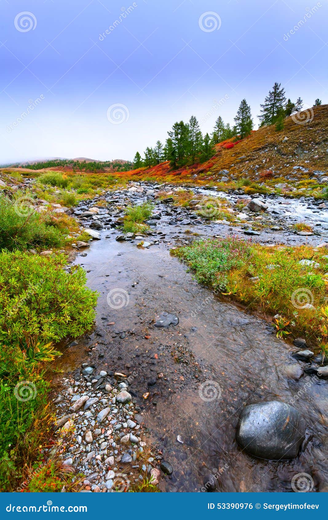 Morning on mountain river stock photo. Image of landscape - 53390976