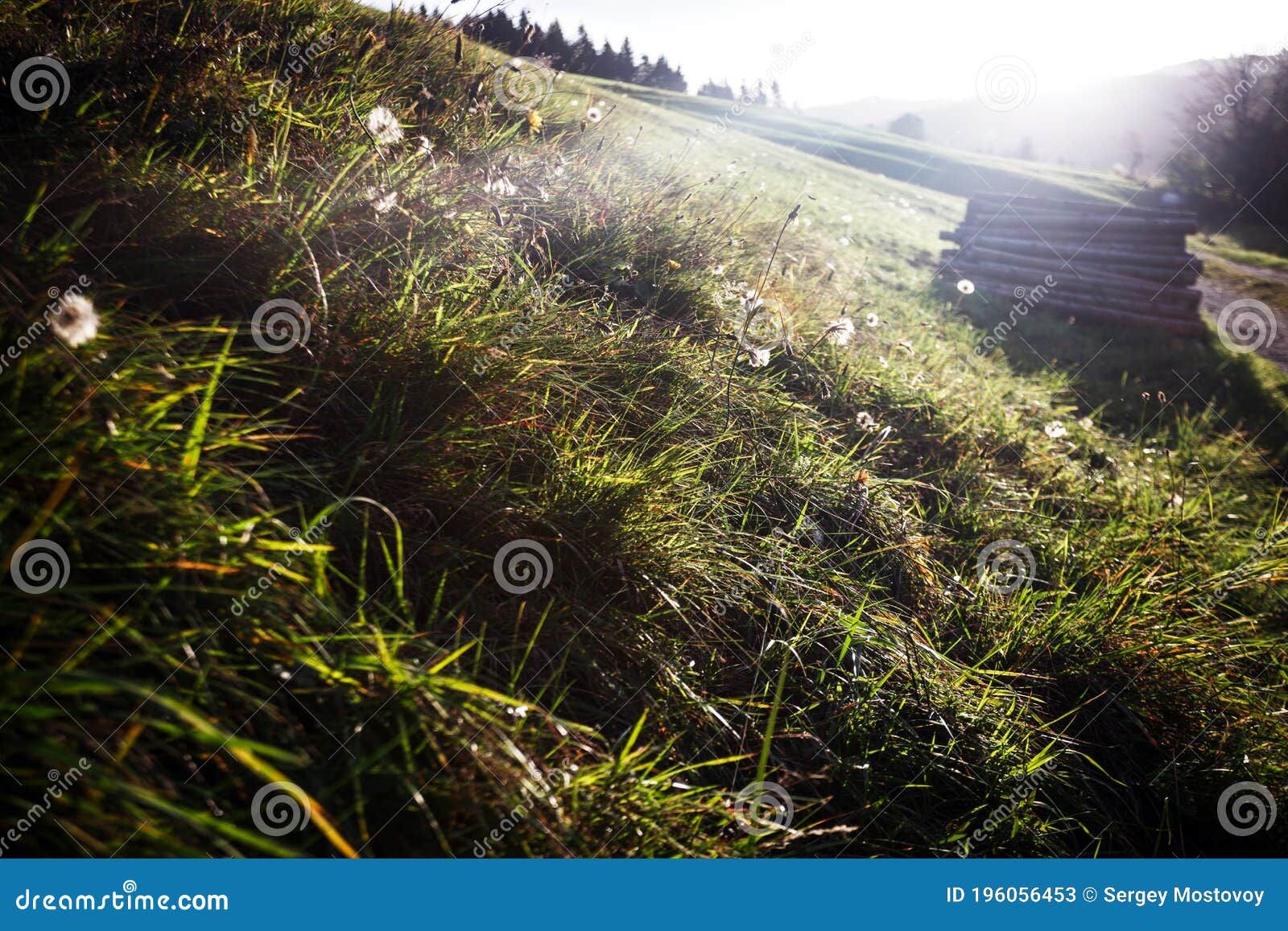 Morning in the mountains stock image. Image of autumn - 196056453