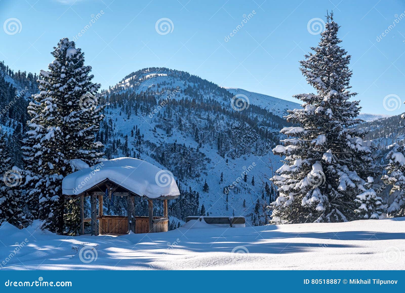 Morning in the Mountains of Khamar-Daban Stock Image - Image of winter ...