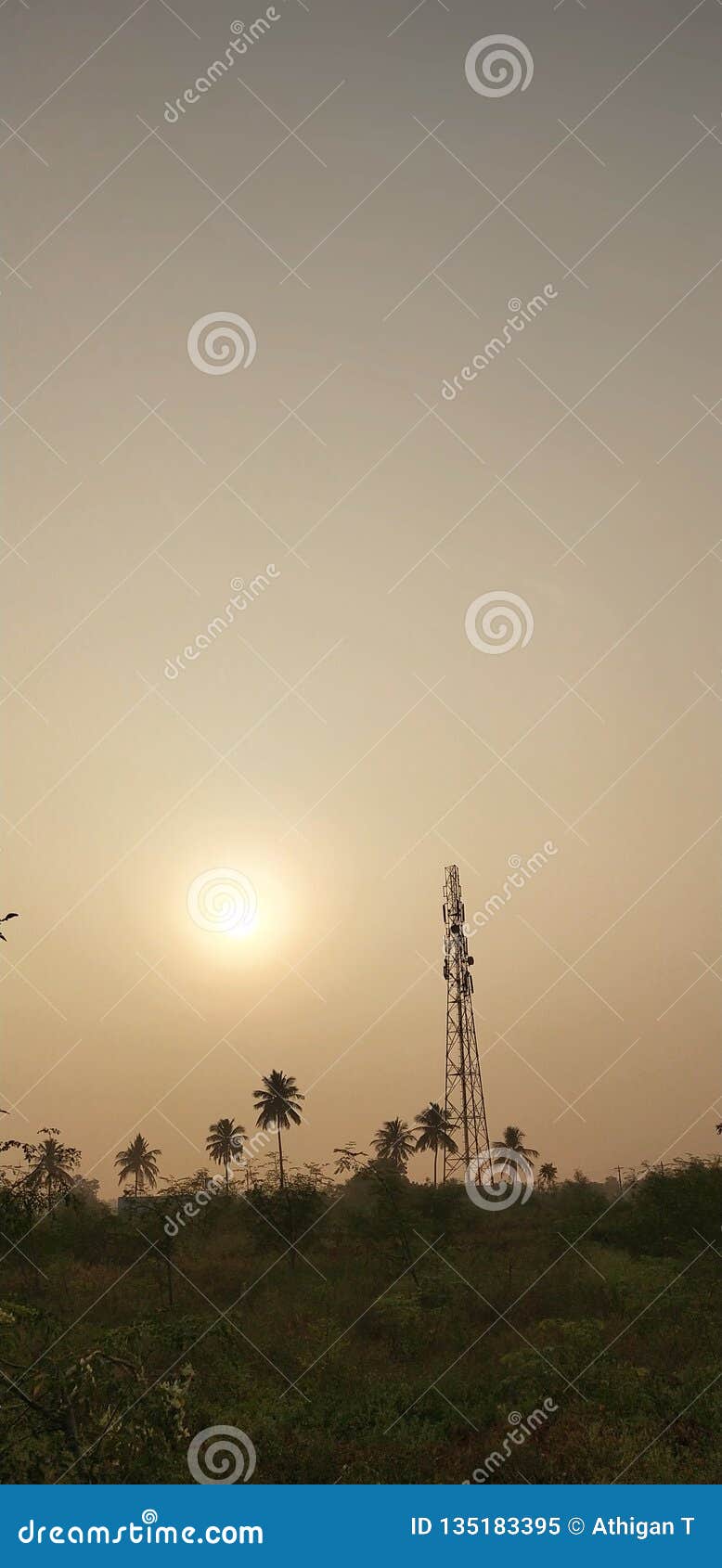 Morning stock image. Image of smog, tower, morning, nature - 135183395