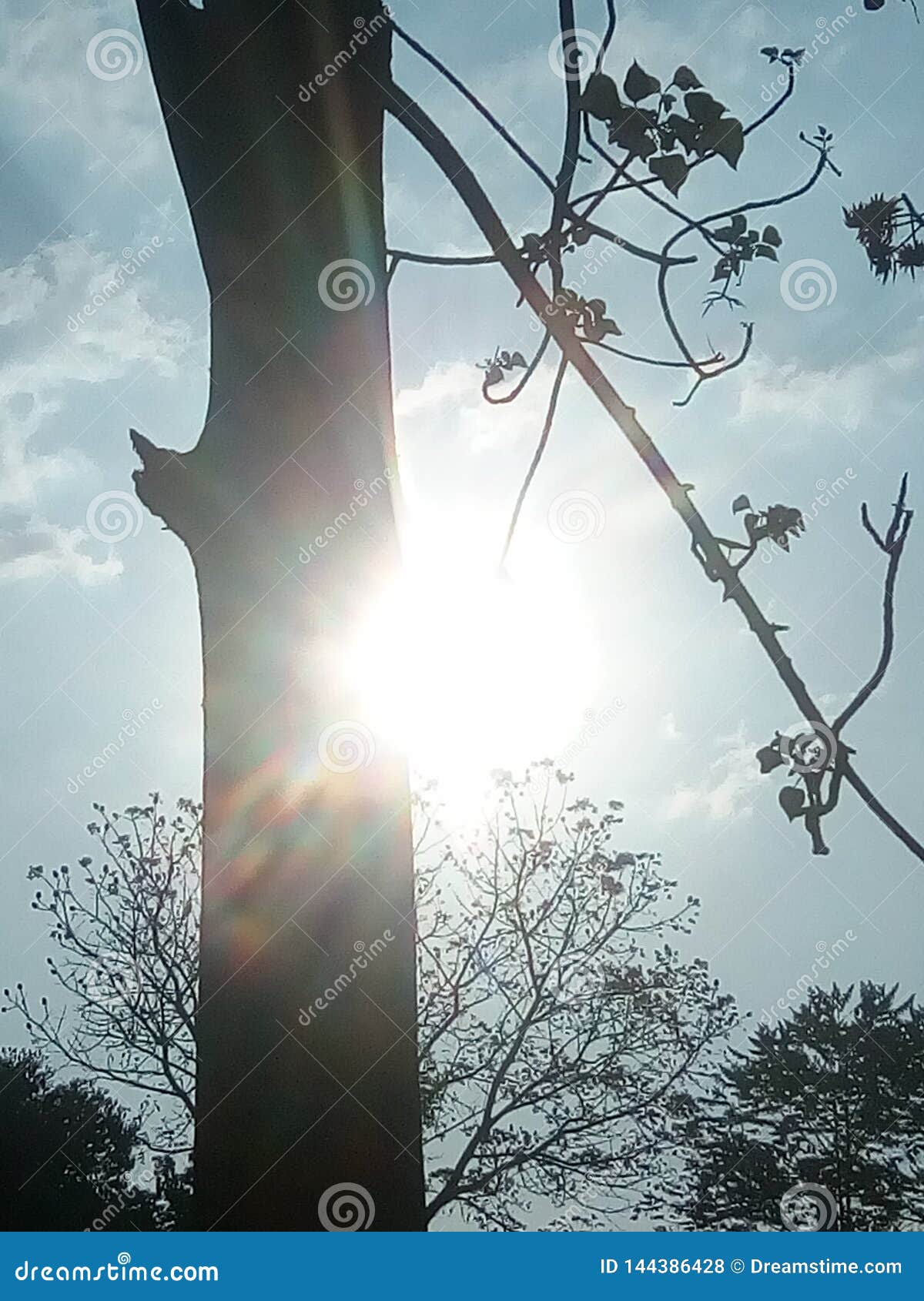 The morning stock photo. Image of starts, dayit, storyspacial - 144386428