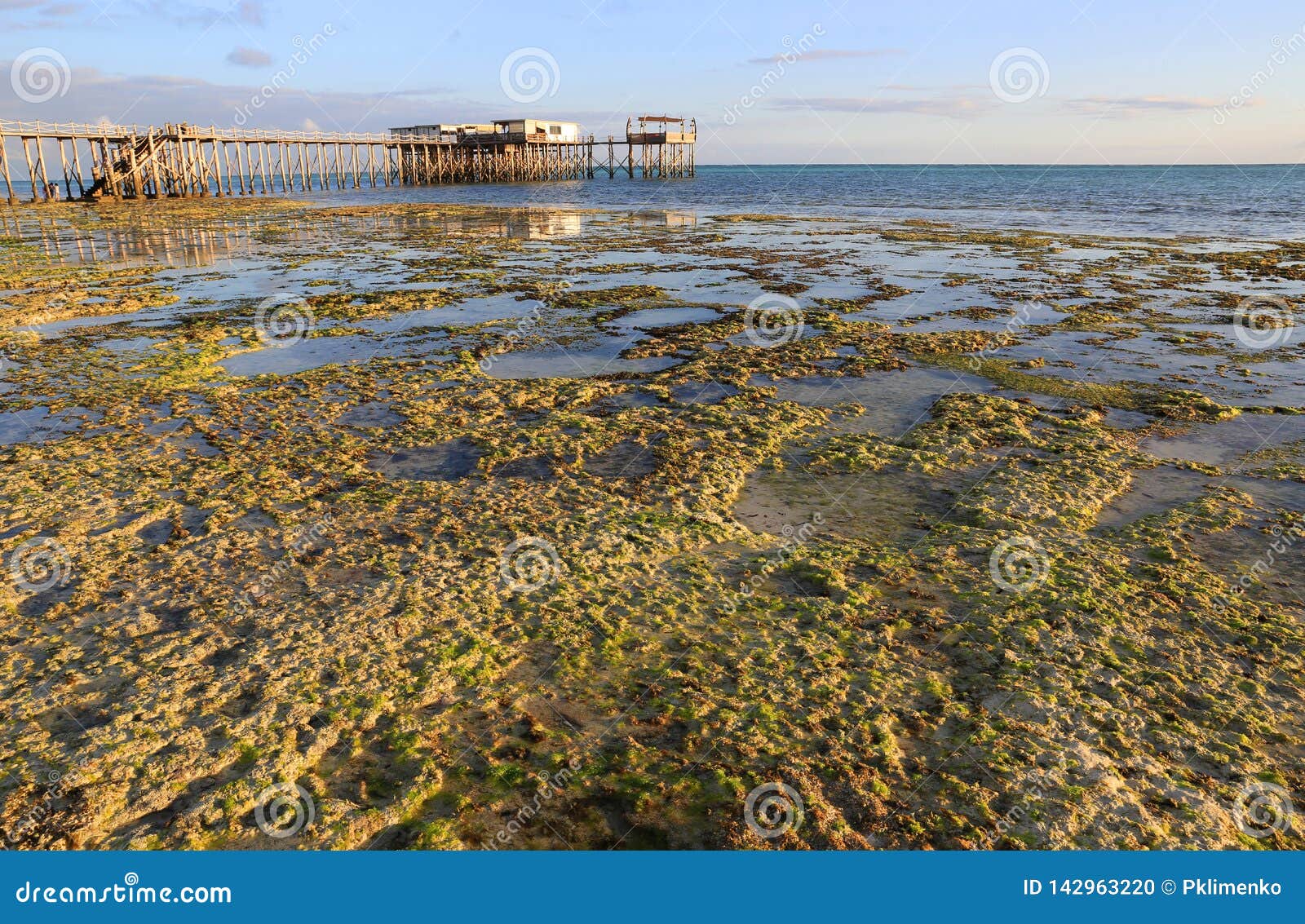 Morning on Ocean after Low Tide Stock Photo - Image of holiday, corals ...