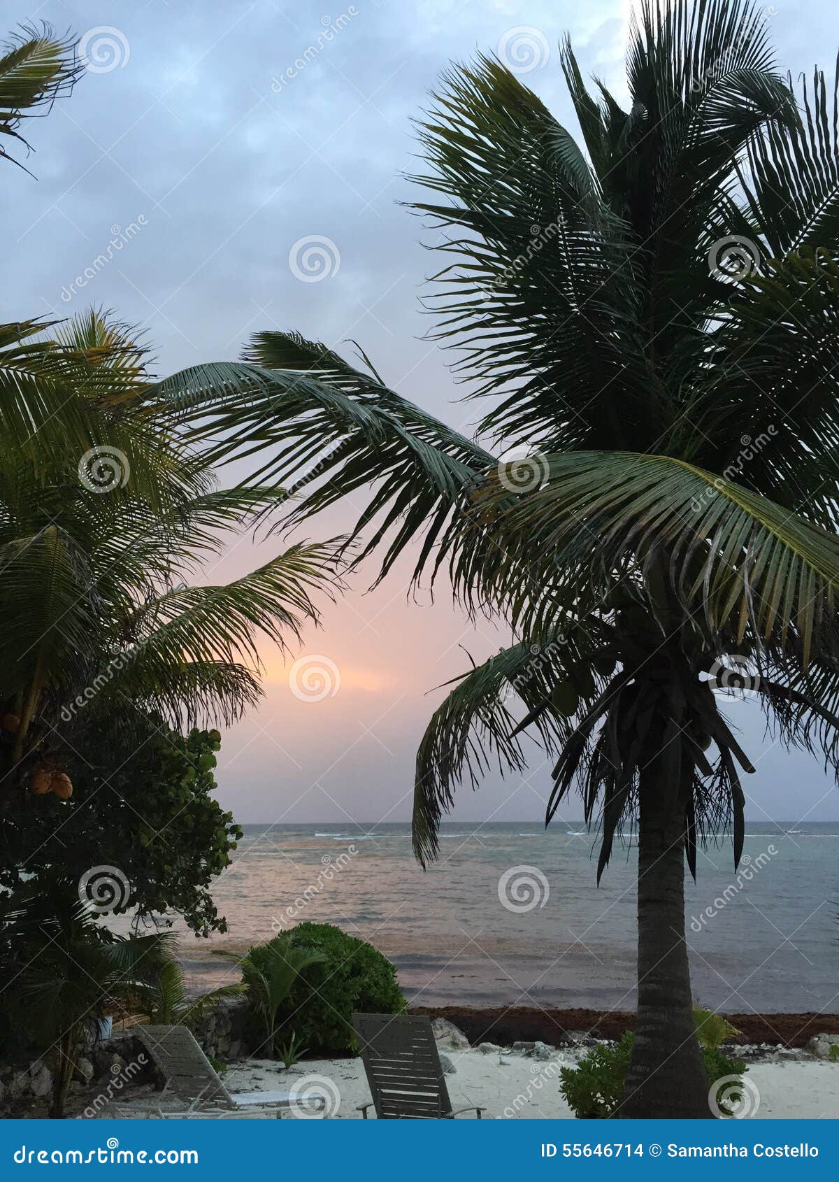 Morning Ocean View Vacation Stock Photo - Image of view, beach: 55646714