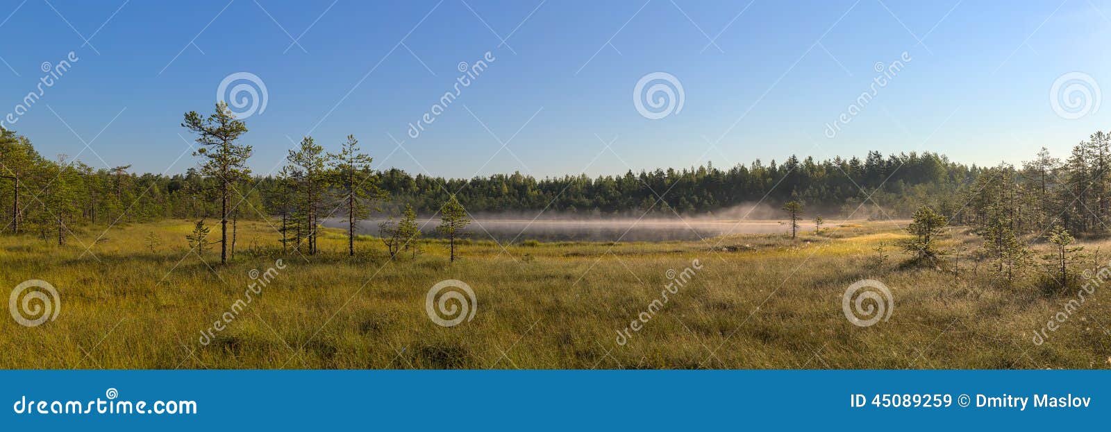 Morning panorama stock image. Image of blue, marsh, color - 45089259