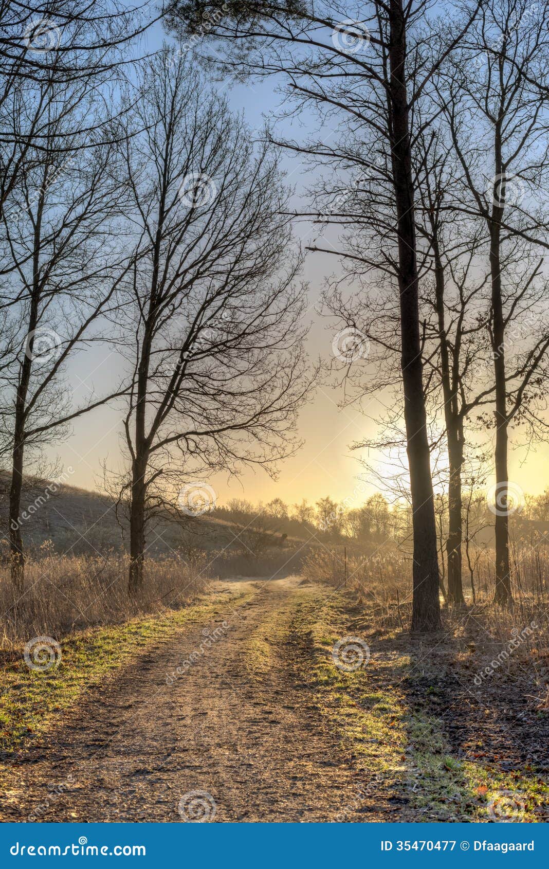Morning path stock image. Image of autumn, misty, nature - 35470477